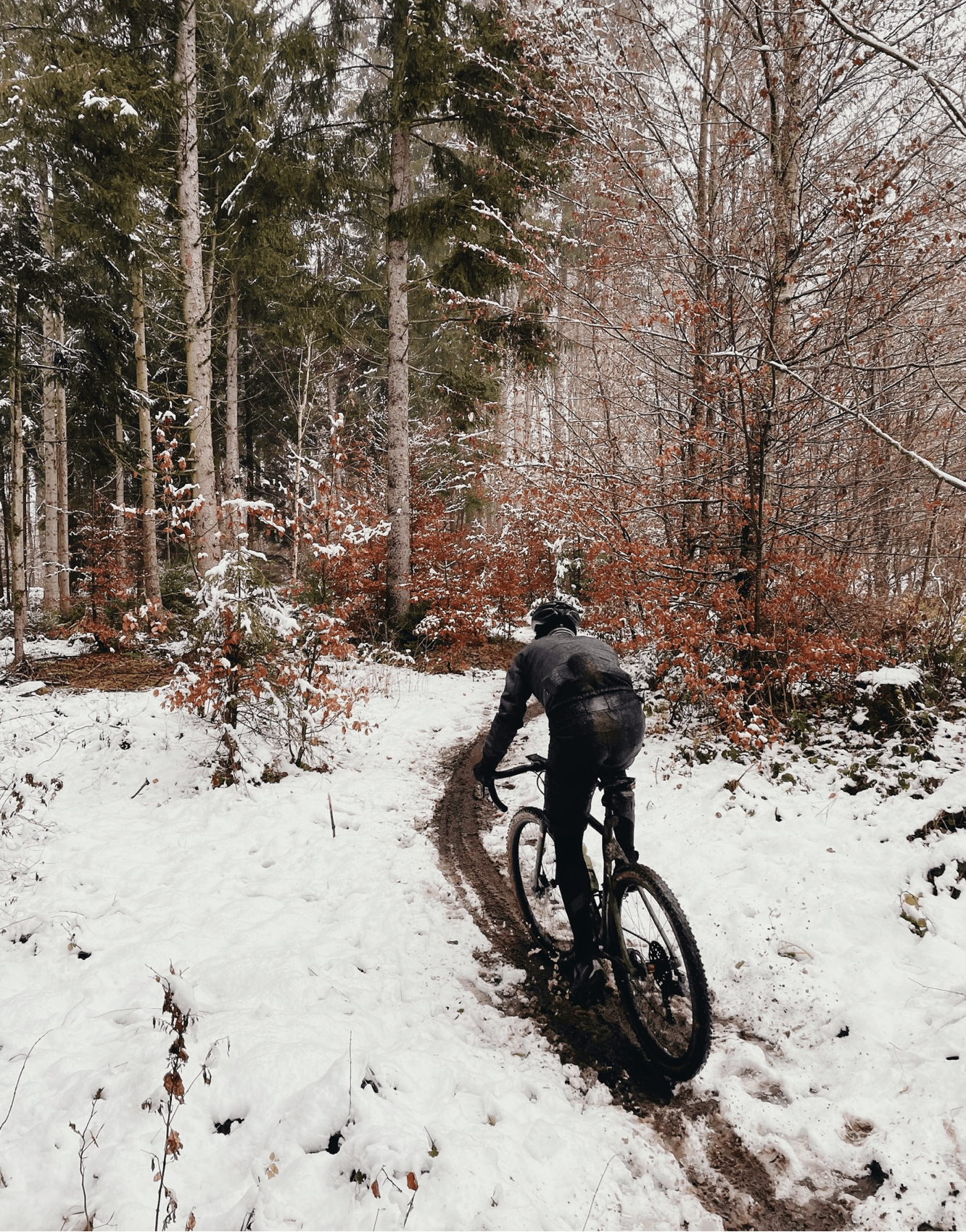 Disco Cycle – Veloladen für Rennvelo und Gravelbikes in Bern