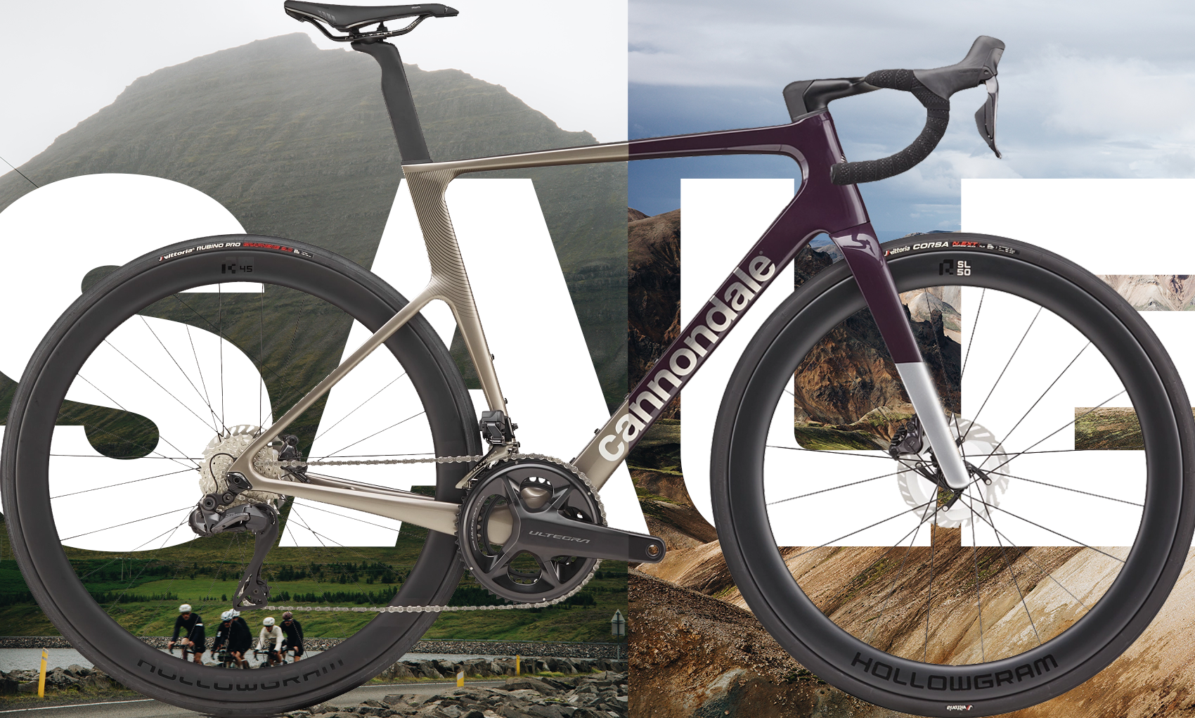 Disco Cycle – Veloladen für Rennvelo und Gravelbikes in Bern