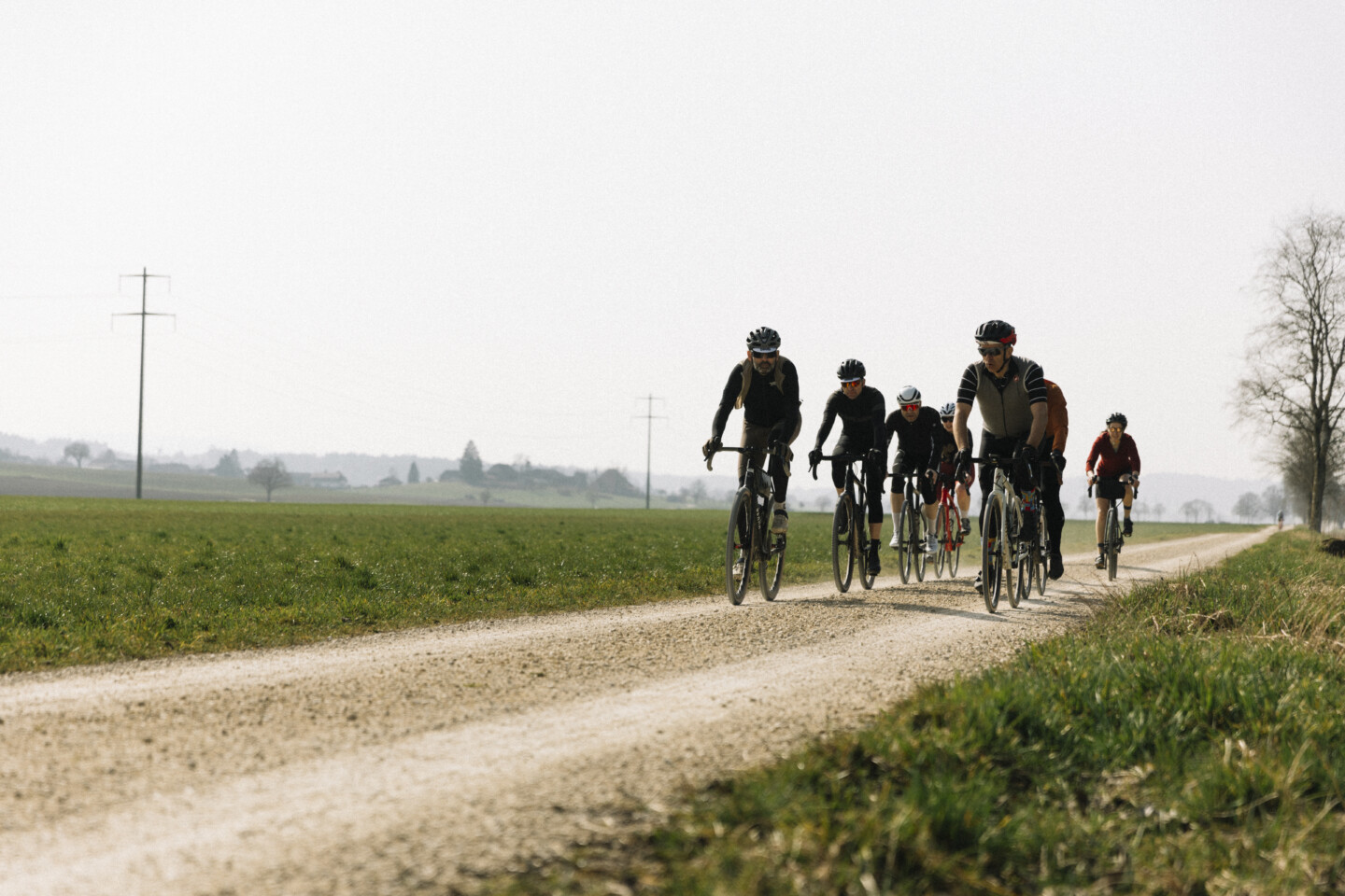Disco Cycle – Veloladen für Rennvelo und Gravelbikes in Bern